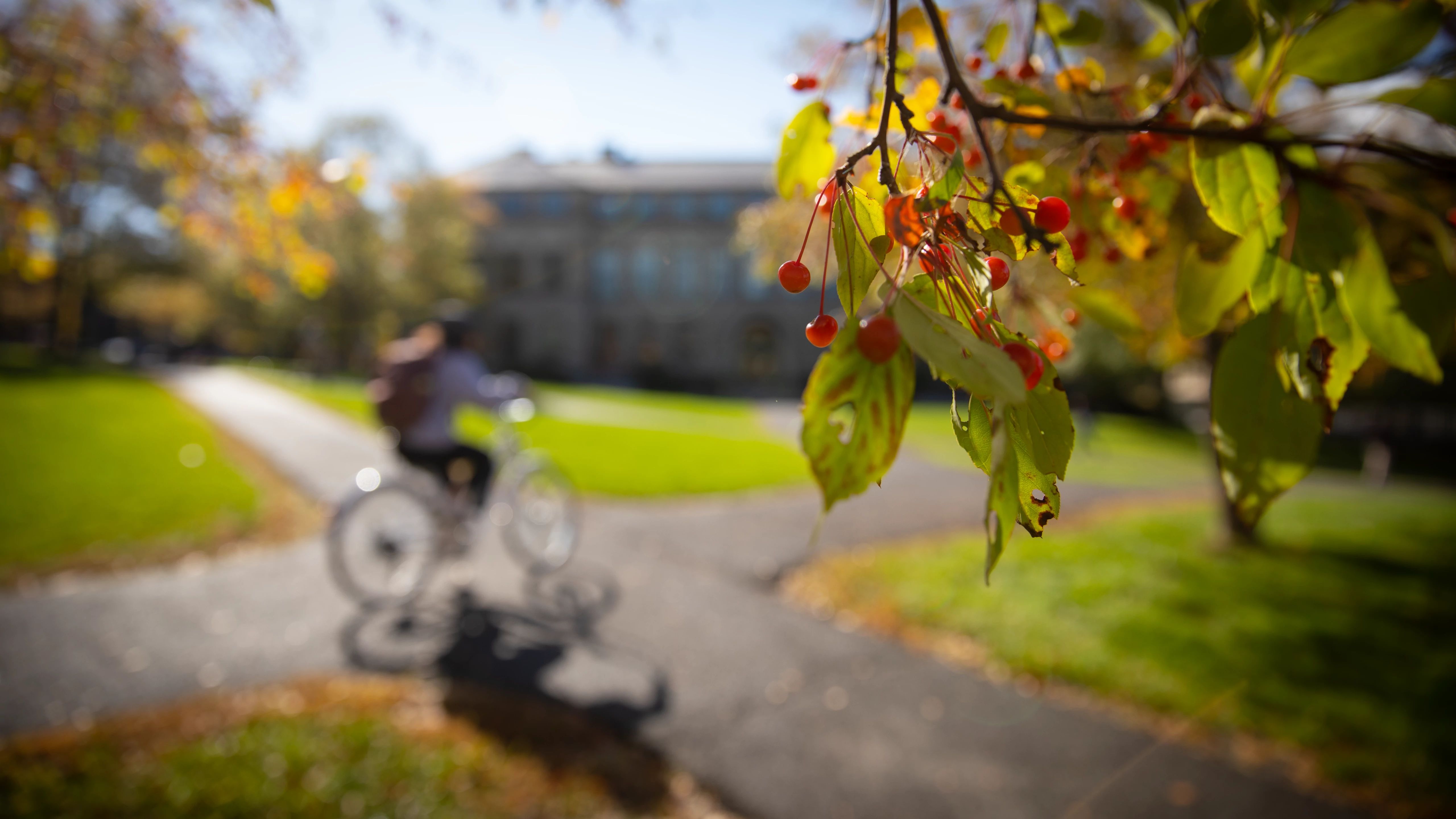 Student & Campus Life | Cornell University