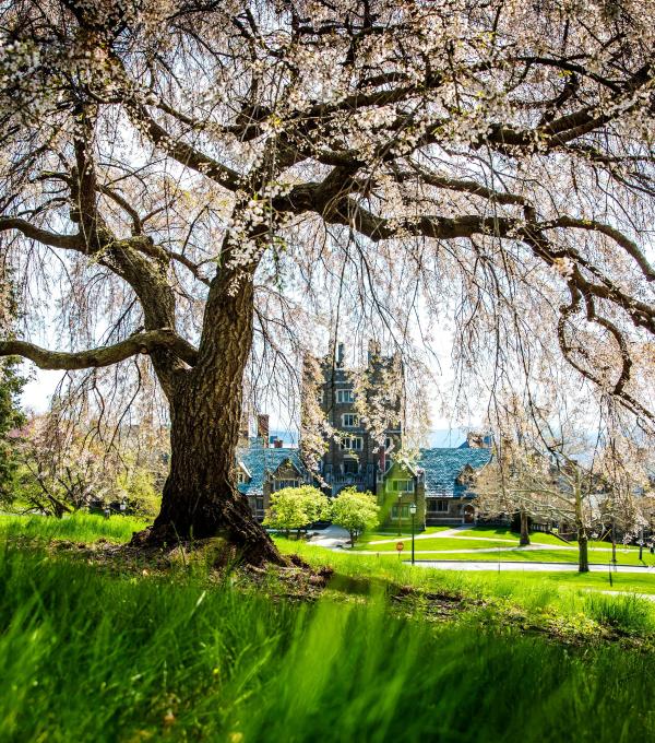 Student & Campus Life | Cornell University